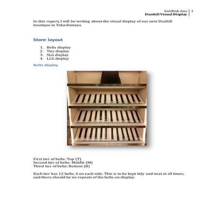 Dunhill Visual Display | DOCX