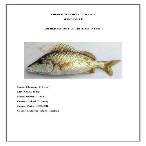 Fish anatomy | PDF