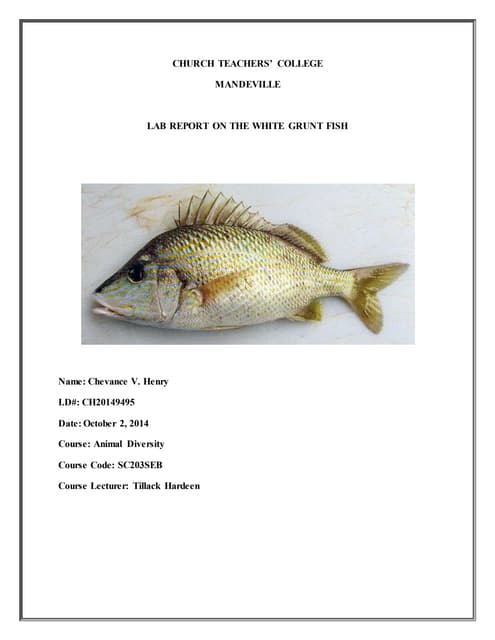 Planning and Designing Lab | DOCX | Chemistry | Science