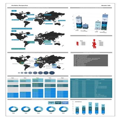 David Fitzsimmons Portfolio Infographic | PDF