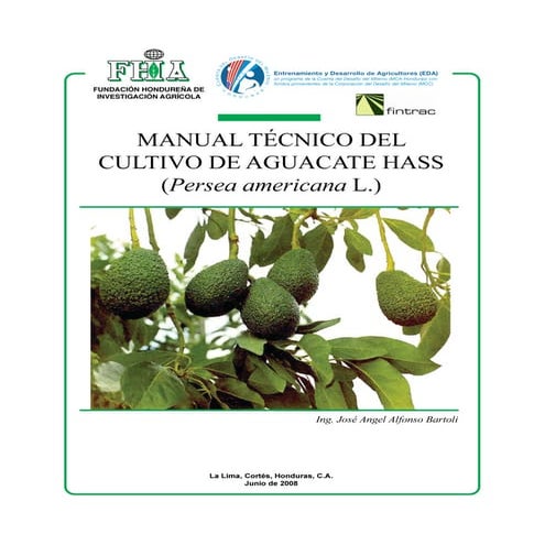 Eda manual produccion_aguacate_fhia_09_08 | PDF