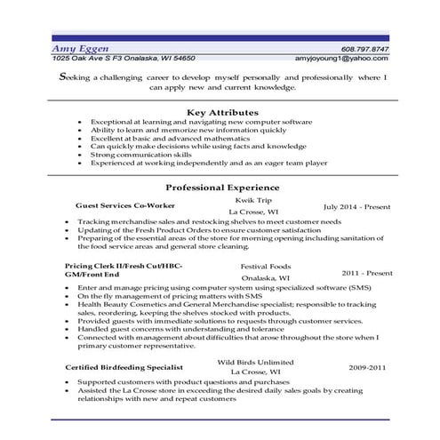 Amy Professional Resume | DOCX