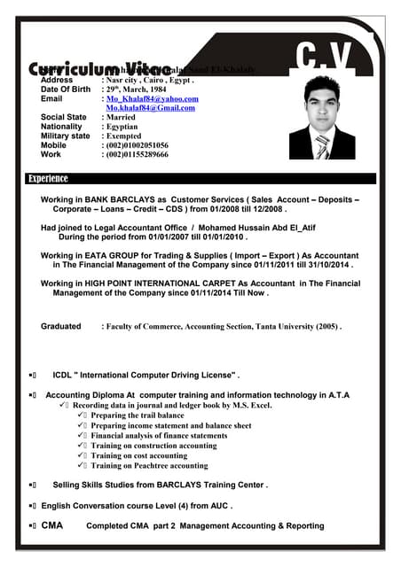 Aladdin's Accounting CV | PDF