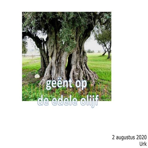 geënt op de edele olijf | PDF