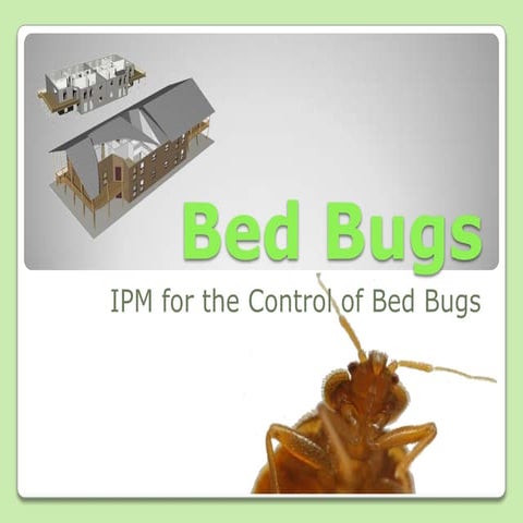 Eden Bed Bug Training Curriculum | PPTX