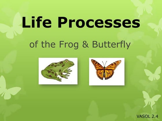 Powerpoint slide good example | PDF