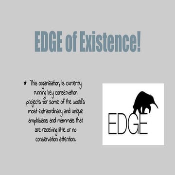 Edge of existence! | PPTX