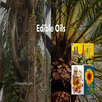 Edible oils | PDF