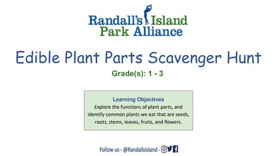 Environmental Science (EVS) : Plants and Trees (Class I) | PPT