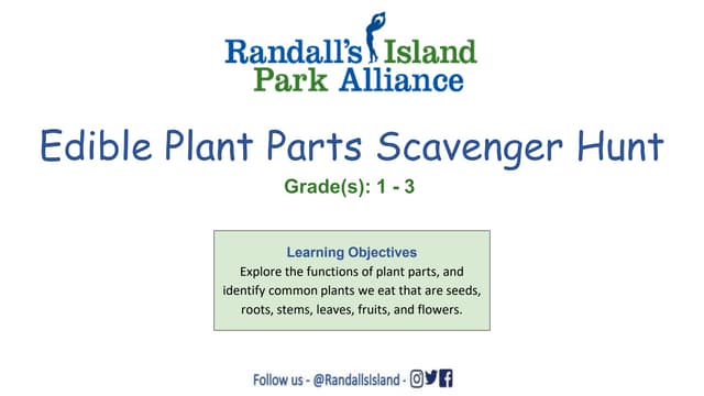 Parts of the plants and their functions | PPT