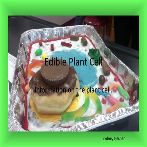 Edible cell | PPTX