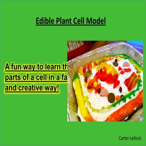 Edible Cell Presentation | PPTX | Biological Sciences | Science