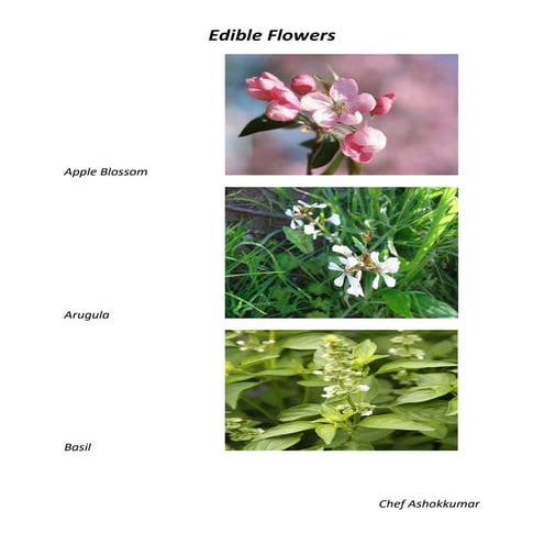 Edible flowers | PDF