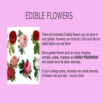 Edible Flowers | PPTX