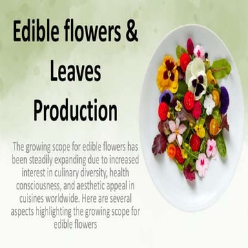 Edible flowers growing in hydroponics .pptx