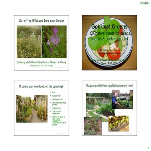 Edible greens Feb-2013-notes | PPT