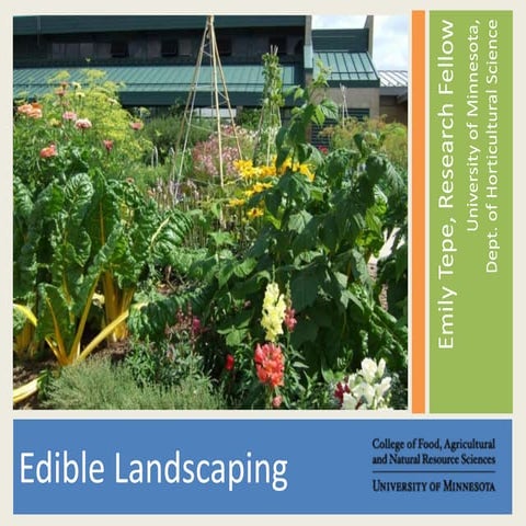 Edible Landscaping | PPTX