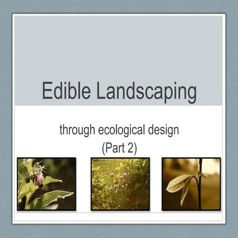 Edible landscaping 2 | PPTX