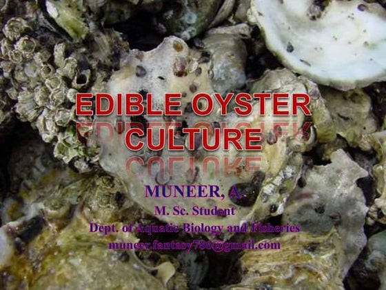 Life cycle of yeast | PPT