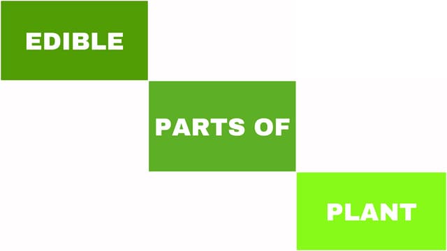Parts of a plant ppt | PPT