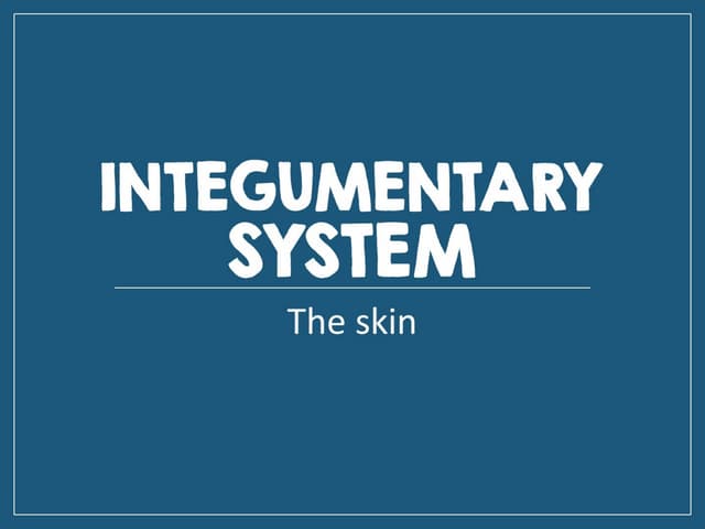 Hair structure | PPT