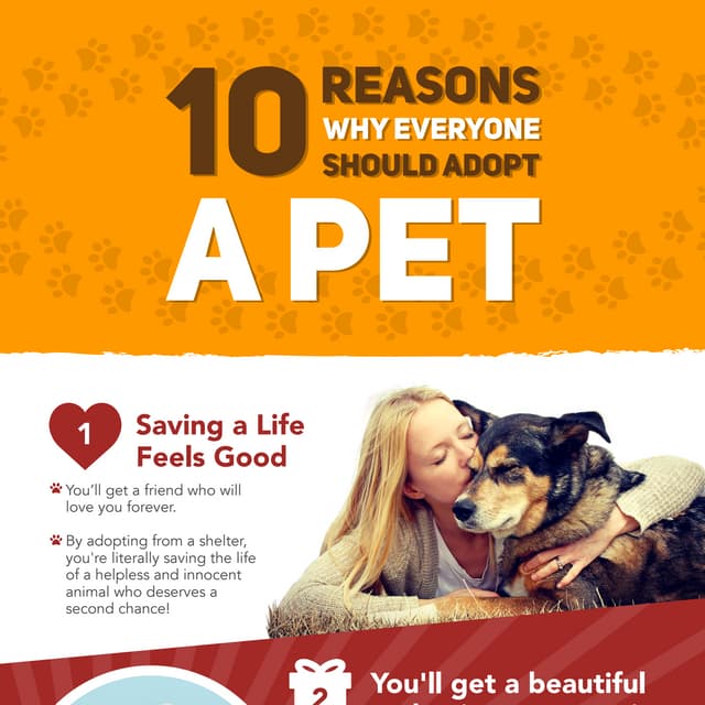 10 Reasons To Adopt An Animal | PDF