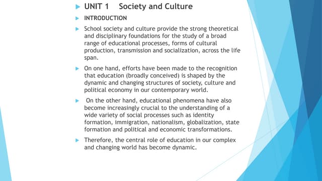 Caribbean Studies Caribbean society and culture | DOCX
