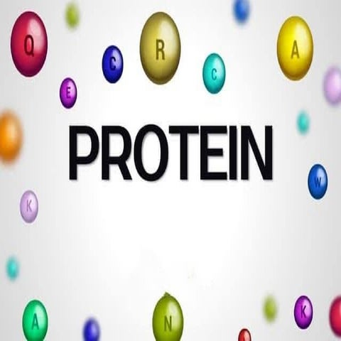 Edited Biochemistry Protein Presentation 1 Pptx