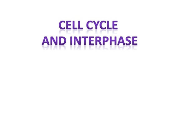 Three stages of Interphase | PPTX