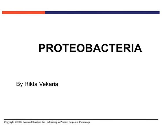 Classification of Bacteria.pdf
