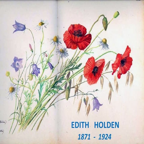 Edith Holden peintre | PPS
