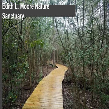 Herpetology Survey of Edith L. Moore Nature Sanctuary. Research by ...