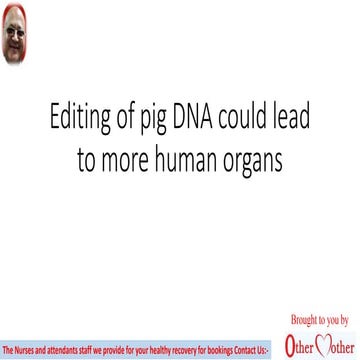 Editing of pig dna could lead to more human organs | PPTX