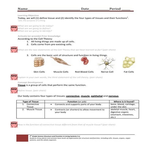 Epithelial Tissue Worksheet Epithelial Tissue Coloring Worksheet