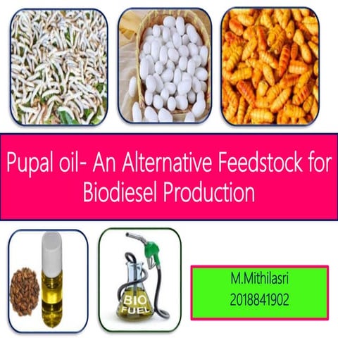 Pupal oil - An alternative feedstock for biodiesel production | PPTX ...