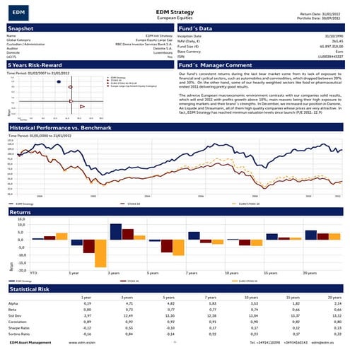 EDM Strategy Factsheet | PDF