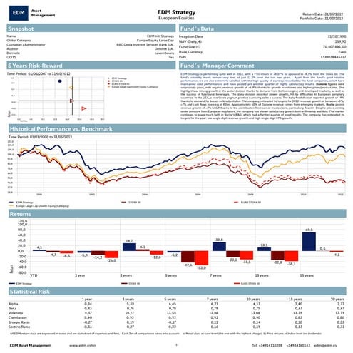 EDM Strategy Factsheet | PDF