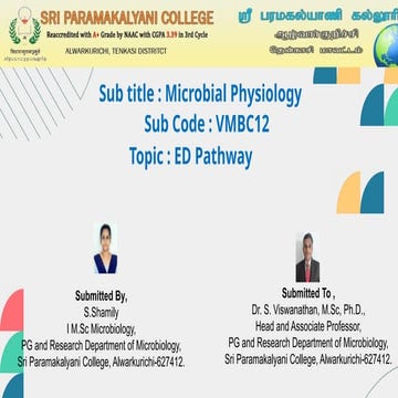 ED PATHWAY - introduction, Steps involved in ED pathway | PPTX