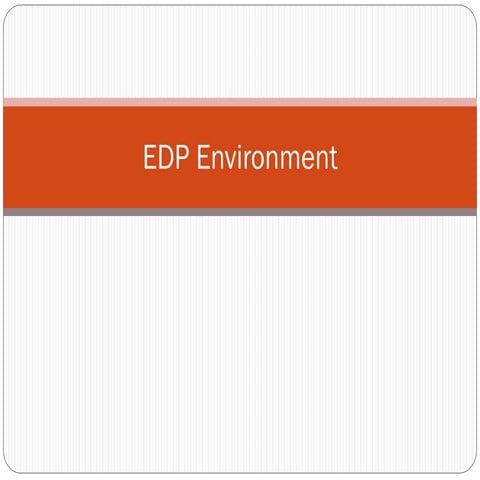 Auditing in EDP Environment/Computerized Audit | PDF