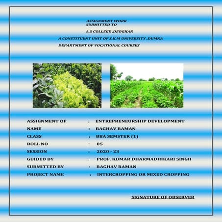 multi-layer farming system | PPTX