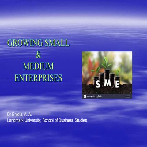 GROWING SMALL & MEDIUM ENTERPRISES | PPT