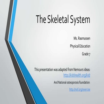 The skeletal system & the muscular system | PPTX