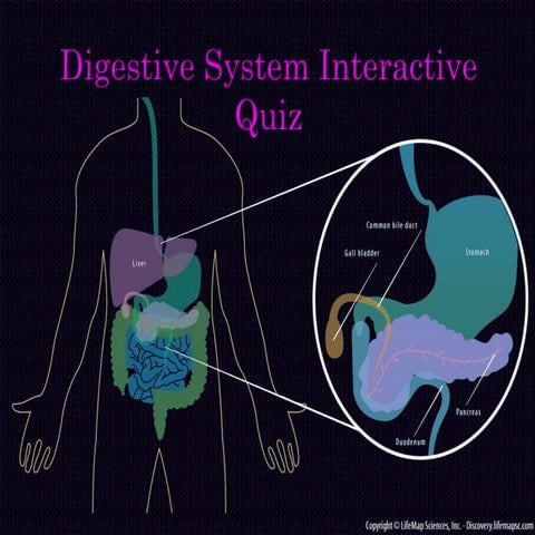 Detailed Lesson plan Sample Digestive Process | DOCX