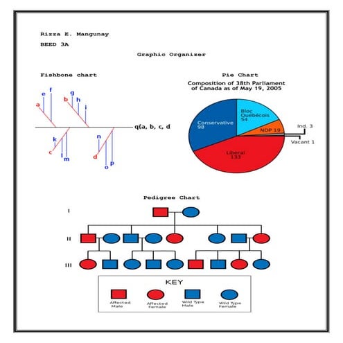 Edtech graphic organizer | DOCX