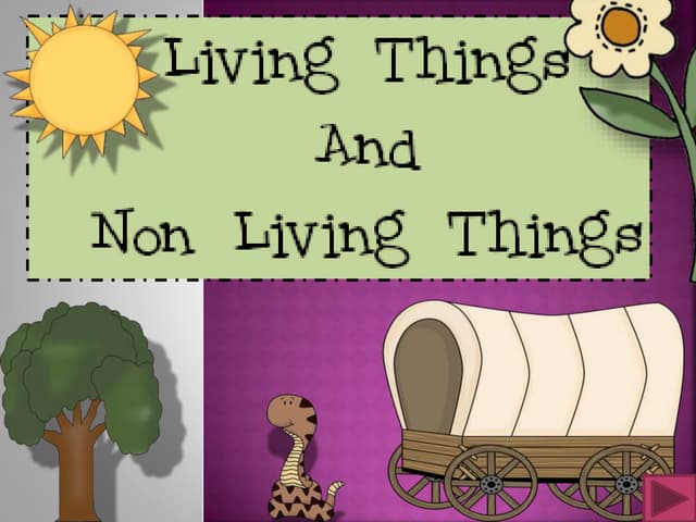 Living and Non-Living Things Science for Grade 2 | PPTX | Biological ...