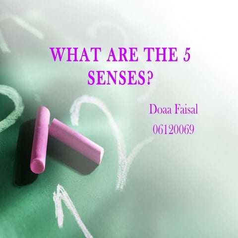 the five senses | PPT | Ear, Nose and Throat Conditions | Diseases and ...