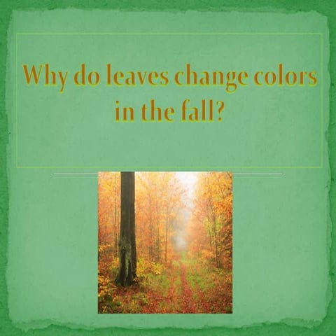 Seasons and Weather | PPT