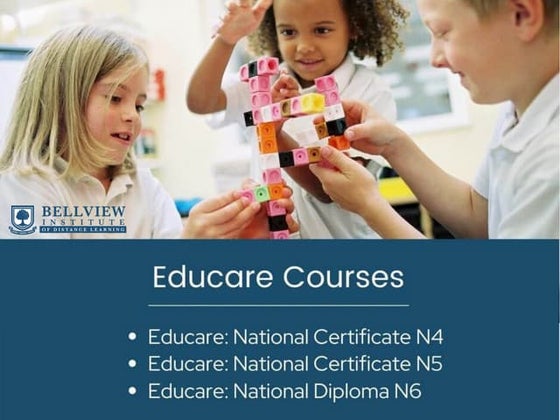 CV Alicia SIMON Anglais | PDF