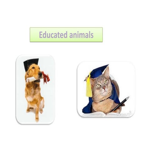Educated animals | PPT