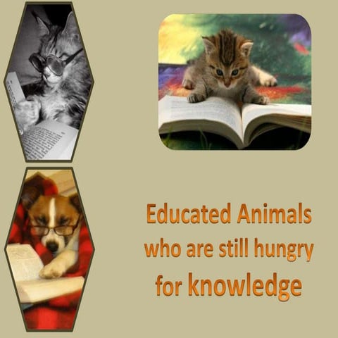 Educated Animals who are still hungry for knowledge | PPTX